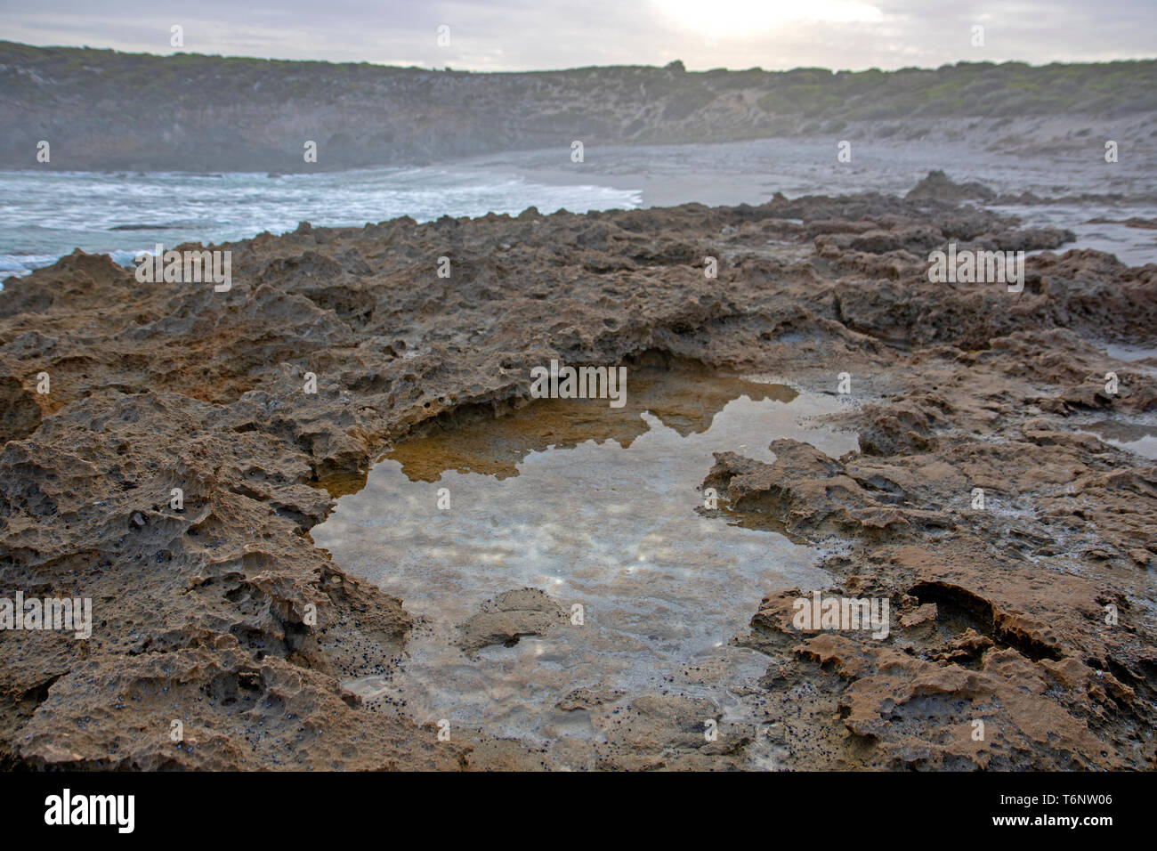 Rockpool at beach hi-res stock photography and images - Alamy