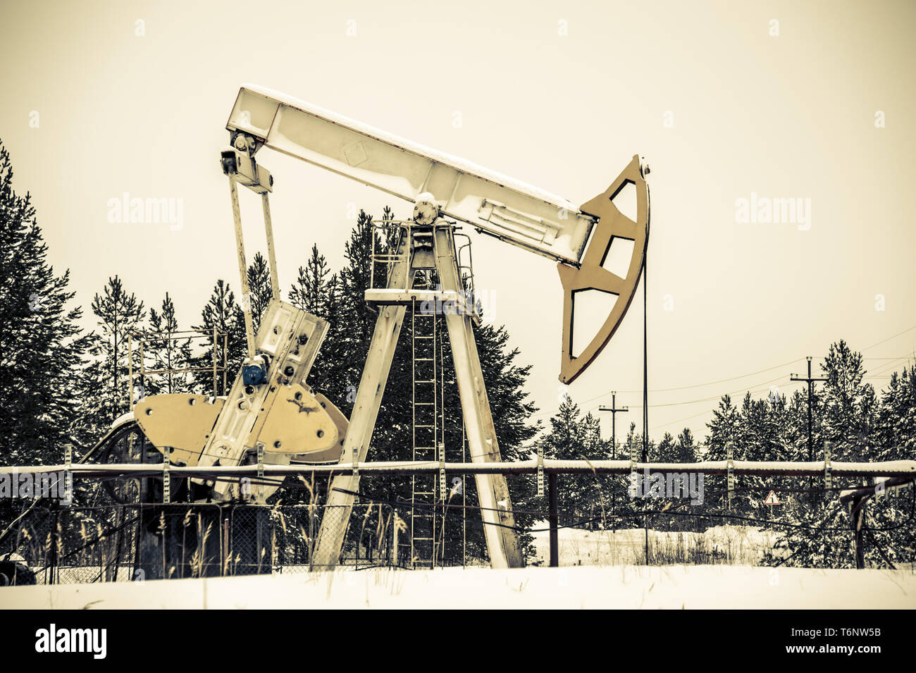 Petroleum in forest hi-res stock photography and images - Alamy