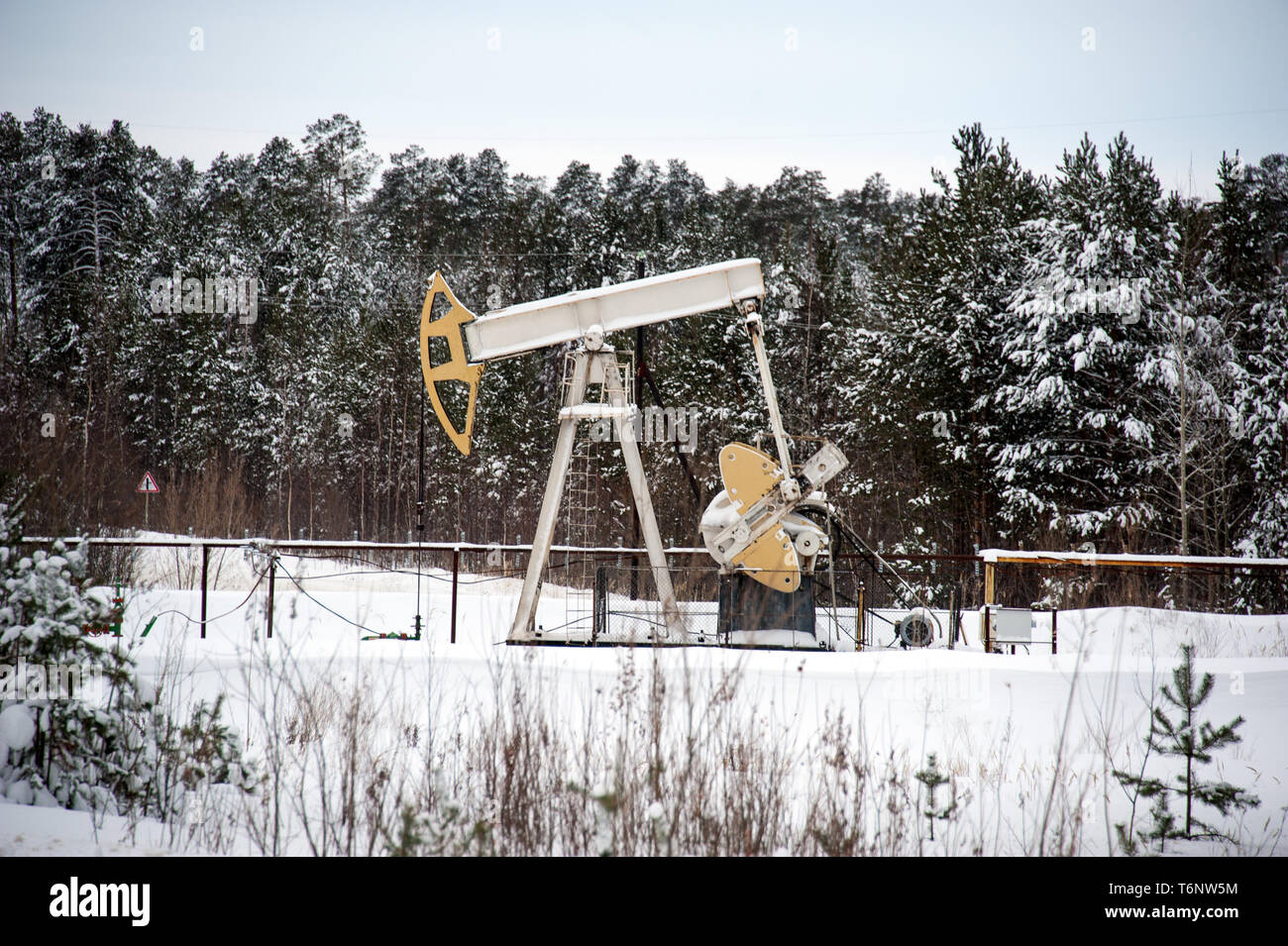 Petroleum in forest hi-res stock photography and images - Alamy