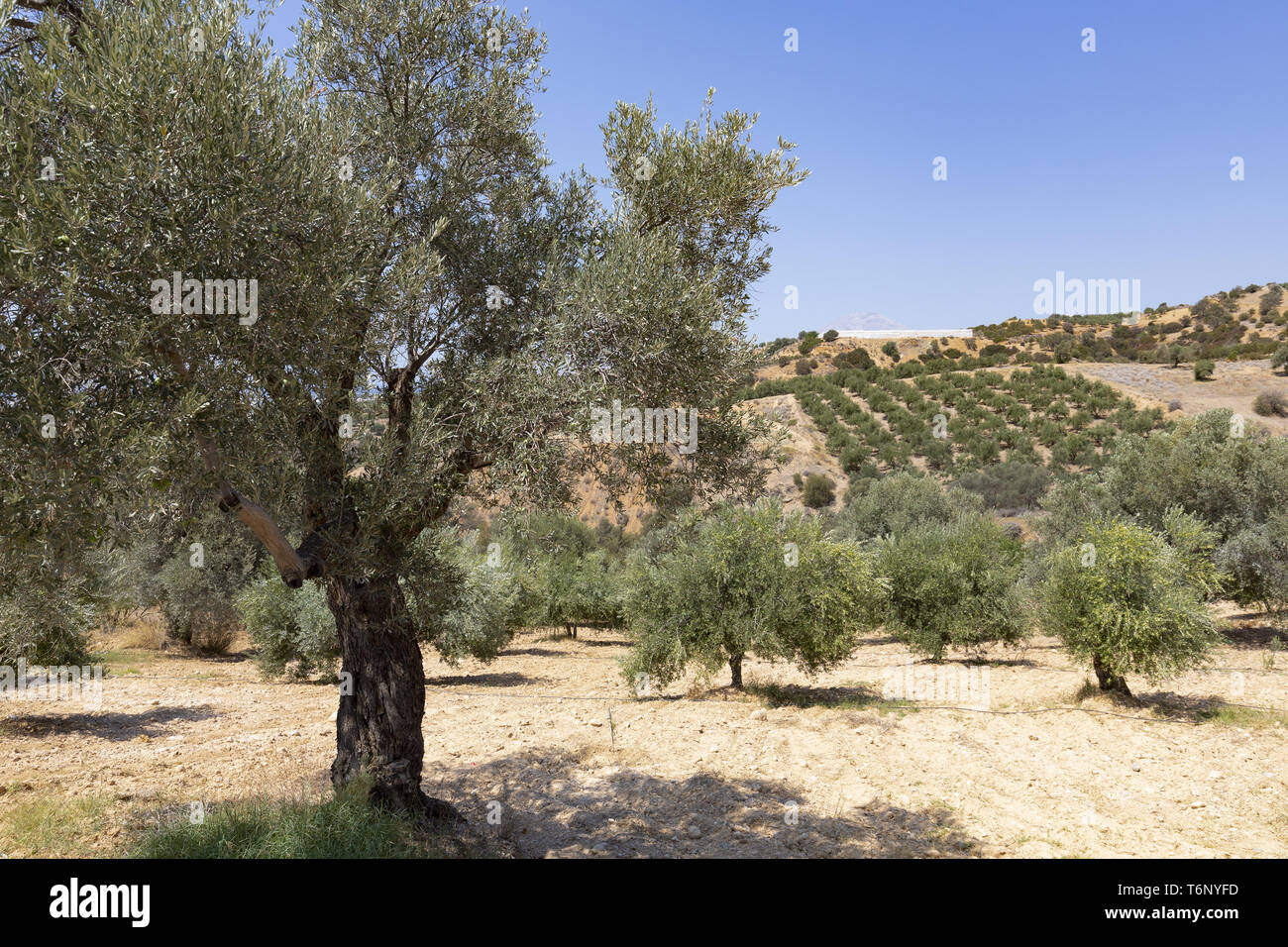 Beautiful Crete Landscape, Greece Stock Photo - Alamy