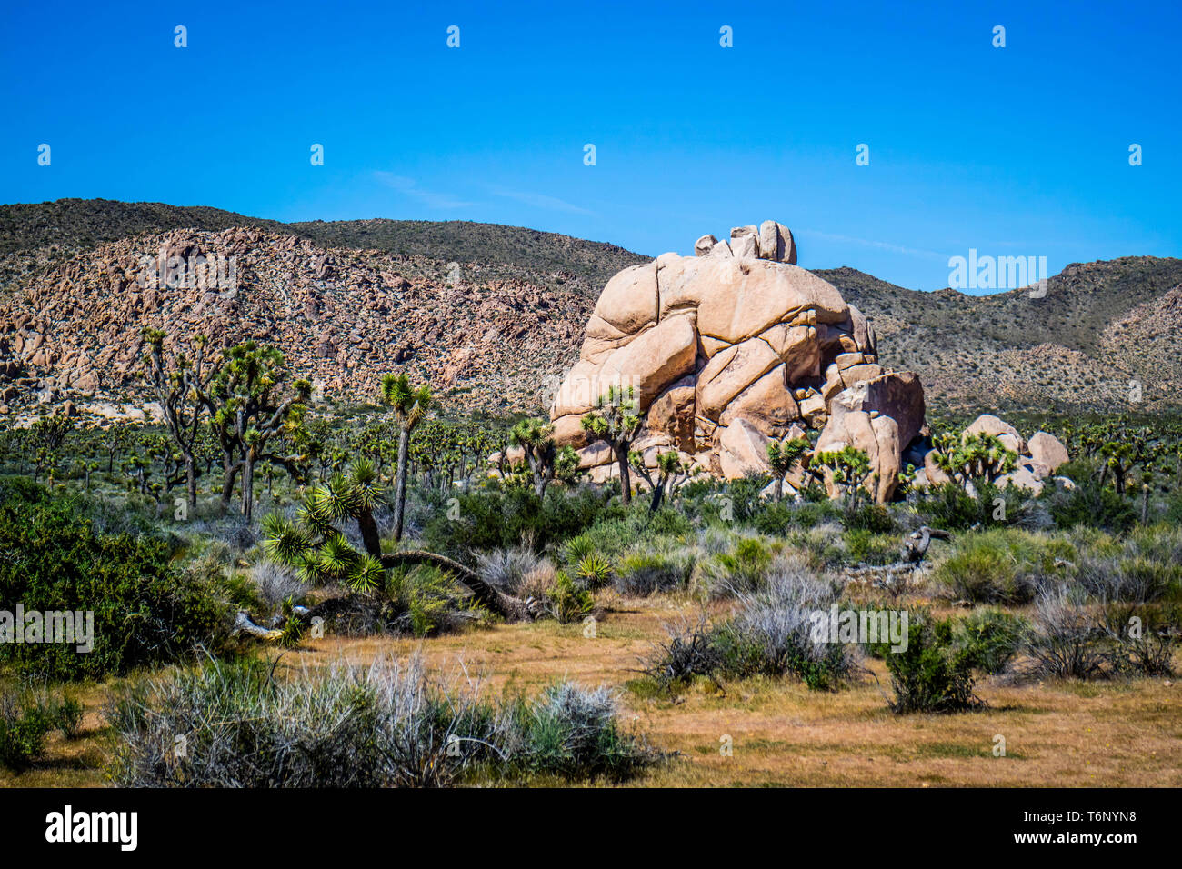 Balancing desert rocks in Joshua National Park, California Stock Photo ...
