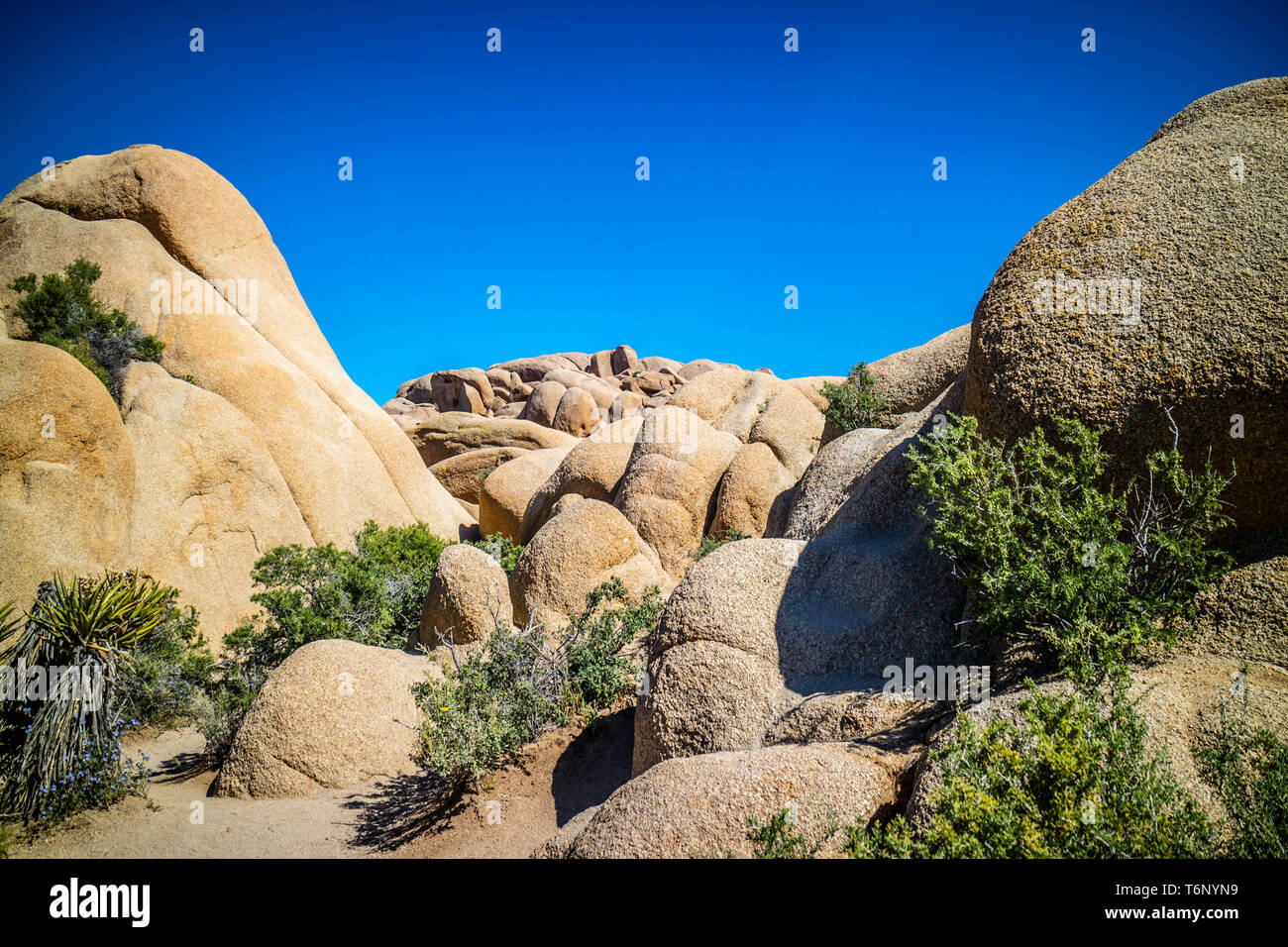 Desert rocks hi-res stock photography and images - Alamy