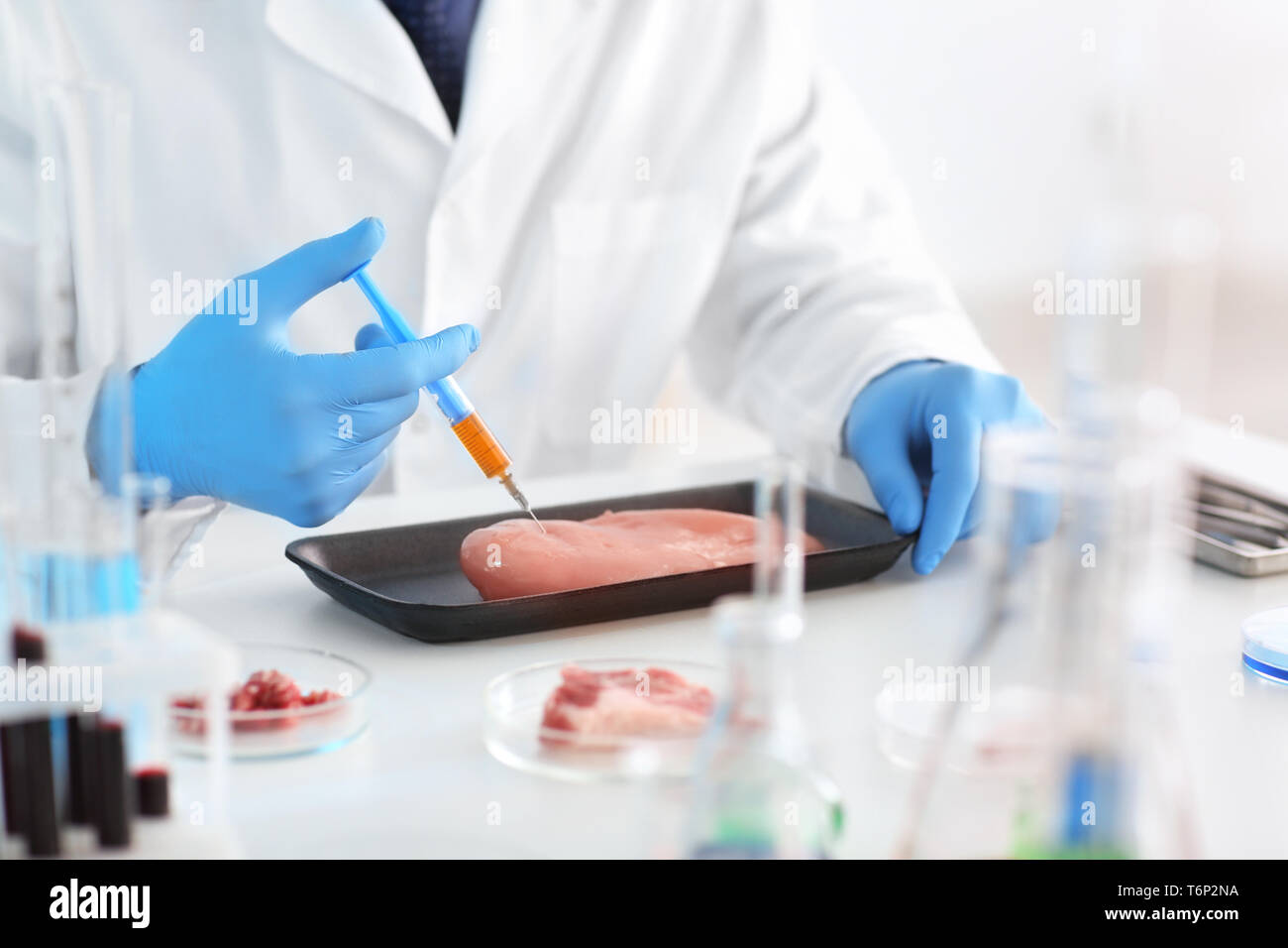 Scientist with syringe examining meat sample in laboratory Stock Photo ...
