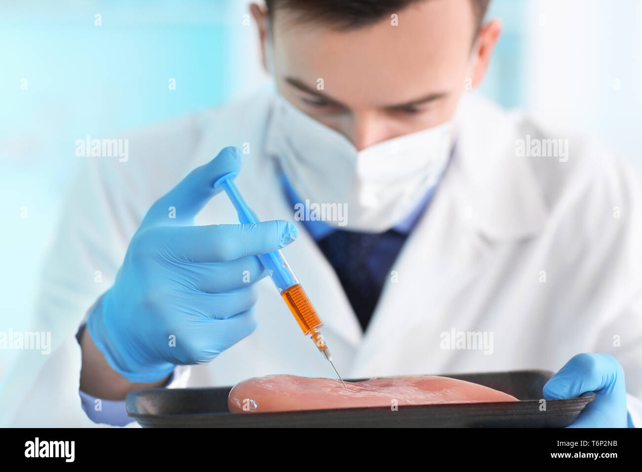 Scientist with syringe examining meat sample in laboratory Stock Photo ...