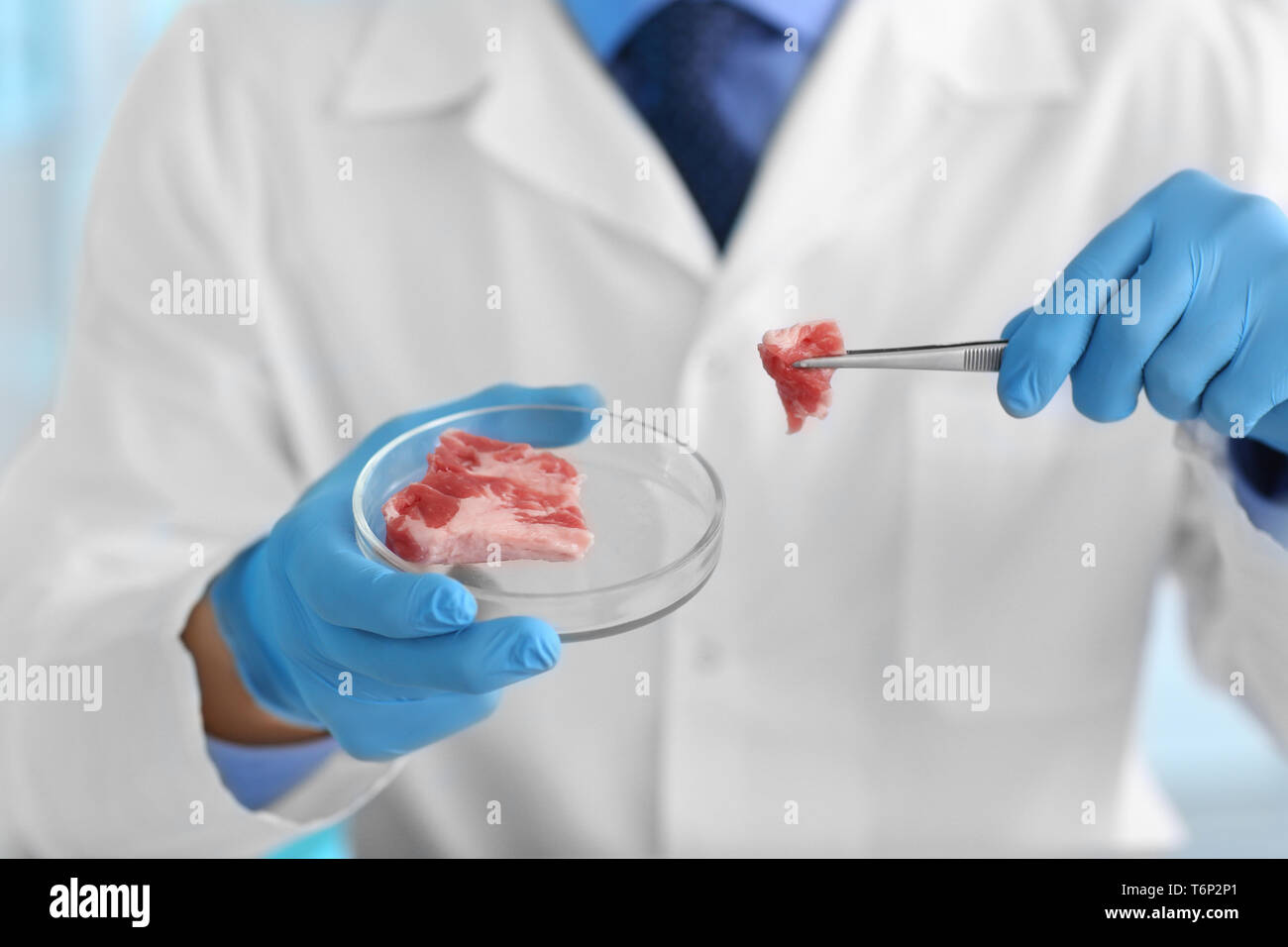 Scientist examining meat sample in laboratory Stock Photo - Alamy