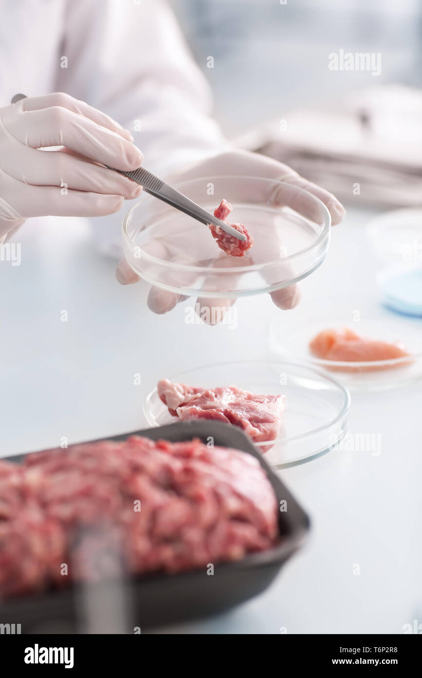 Laboratory meat sample woman hi-res stock photography and images - Alamy