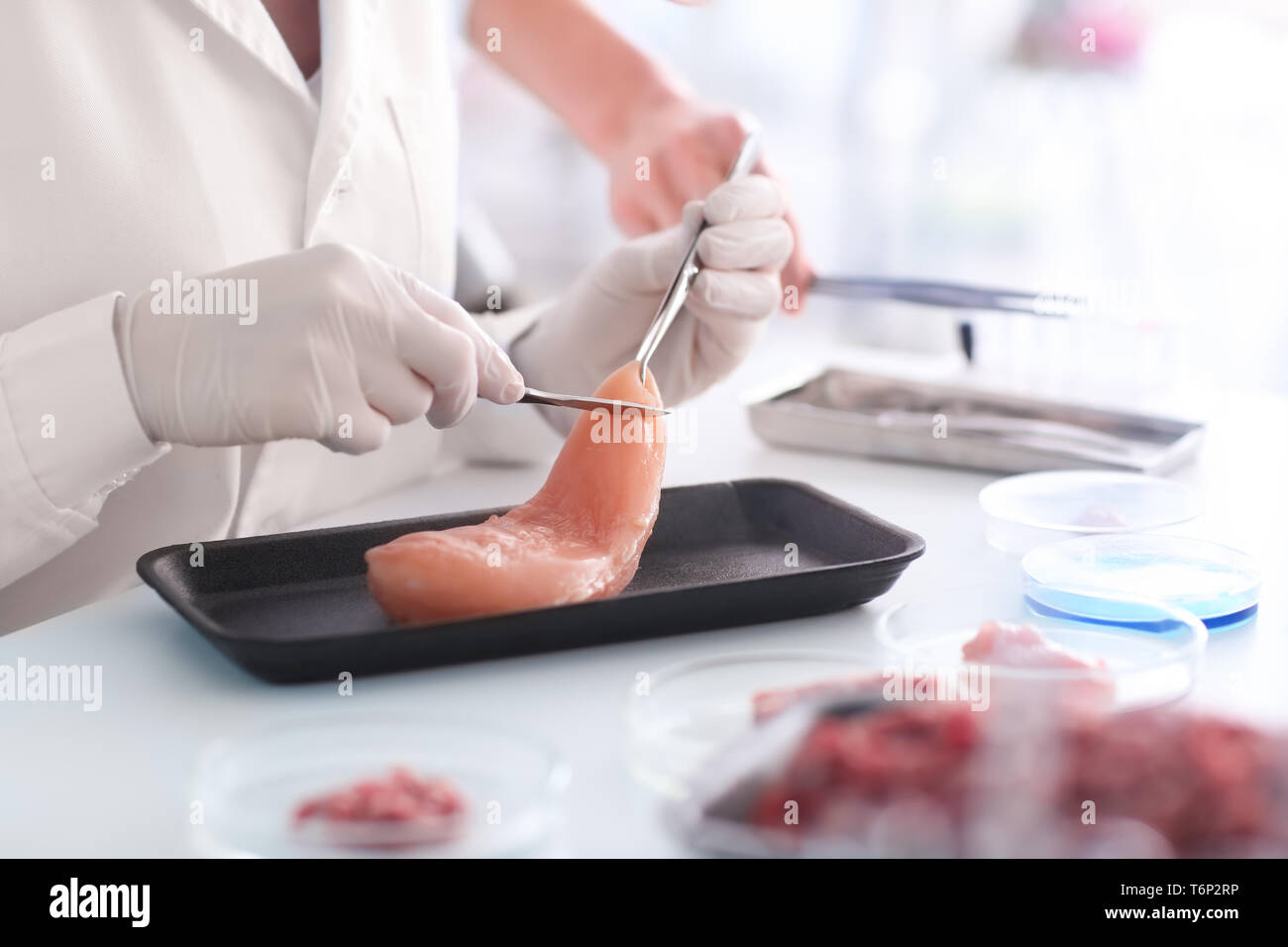 Laboratory meat sample woman hi-res stock photography and images - Alamy