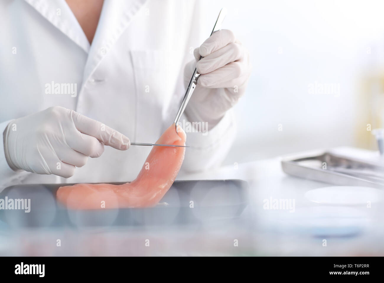 Laboratory chicken hi-res stock photography and images - Alamy