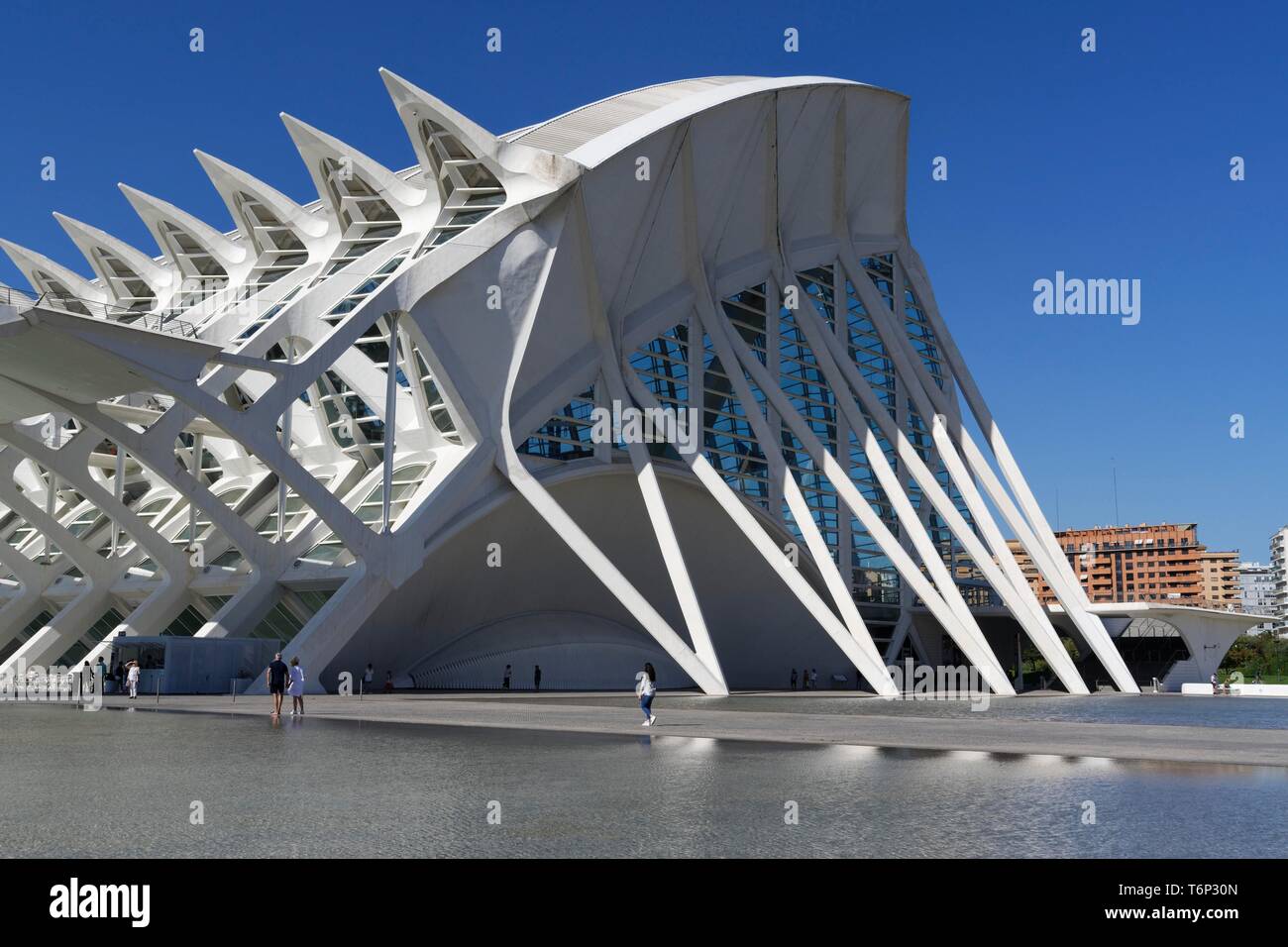 Science Museum, Valencia, Spain Stock Photo - Alamy