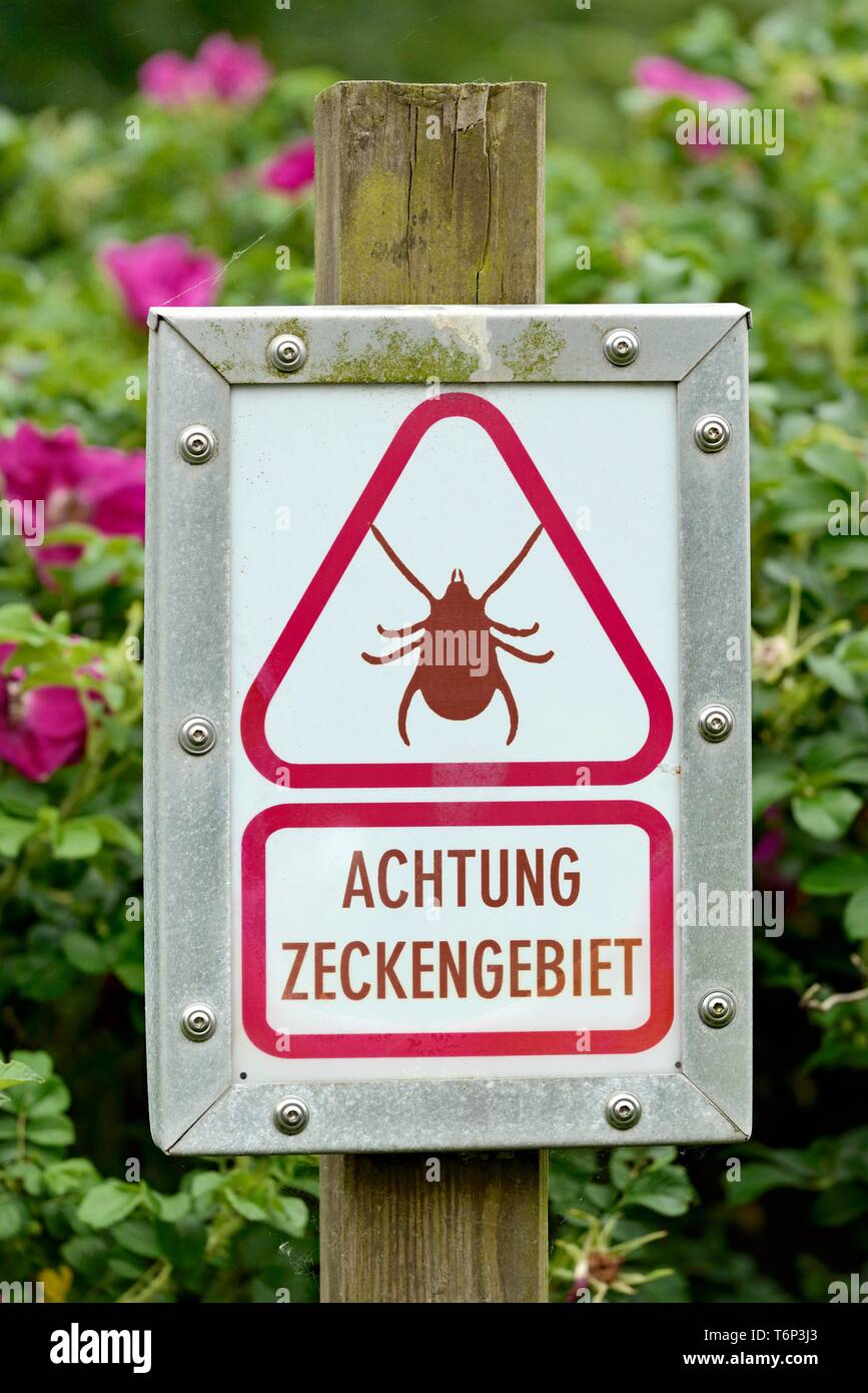 Warning sign Ticks area, warning of (Ixodida), Wangerooge, East Frisian ...