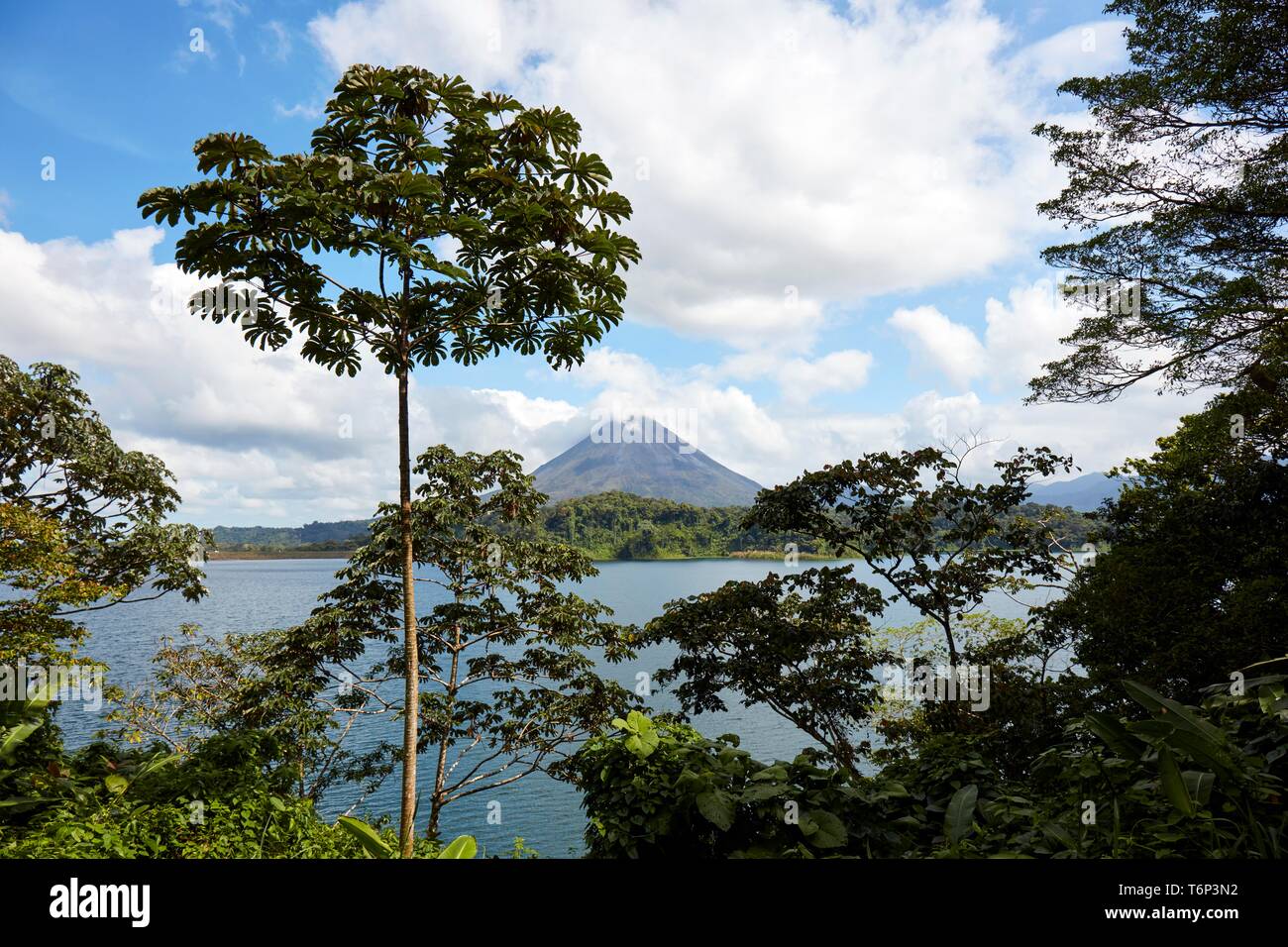 Lake Arenal and Volcano Arena in Costa Rica Stock Photo - Alamy