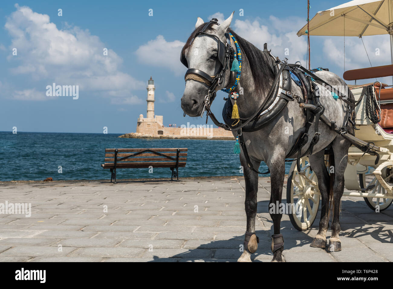 Horse lighthouse hi-res stock photography and images - Alamy