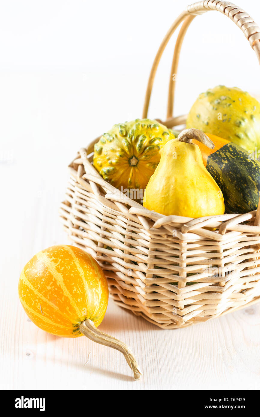 Mini garden farm hi-res stock photography and images - Alamy