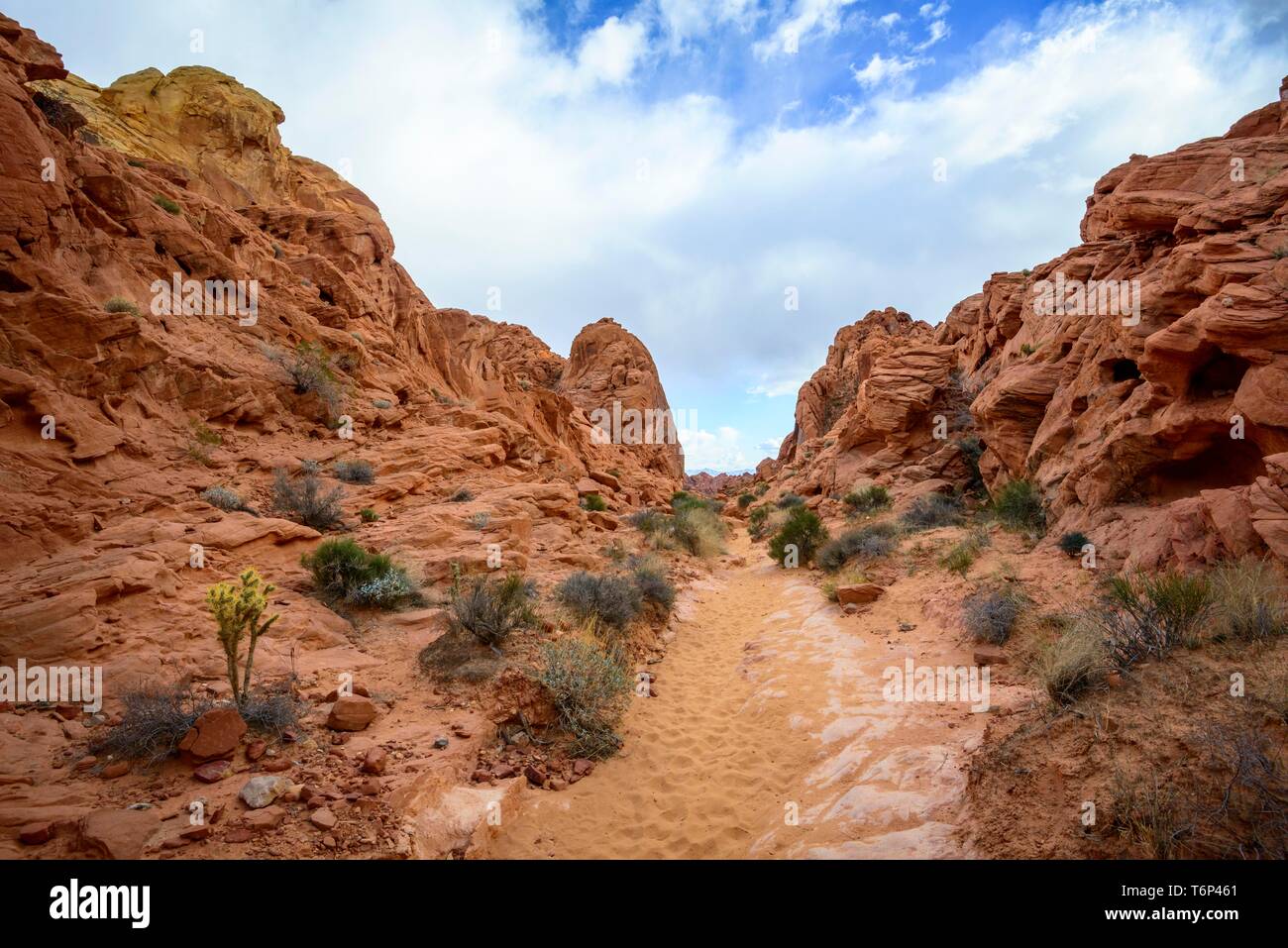 Rainbow Vista Trail, red sandstone rocks, Mojave desert, sandstone ...