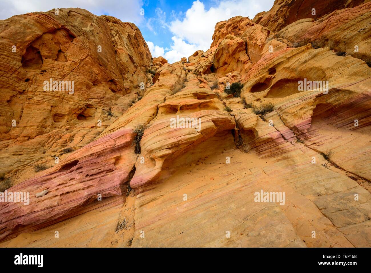 Rainbow Vista, red yellow sandstone rocks, Mojave desert, sandstone ...