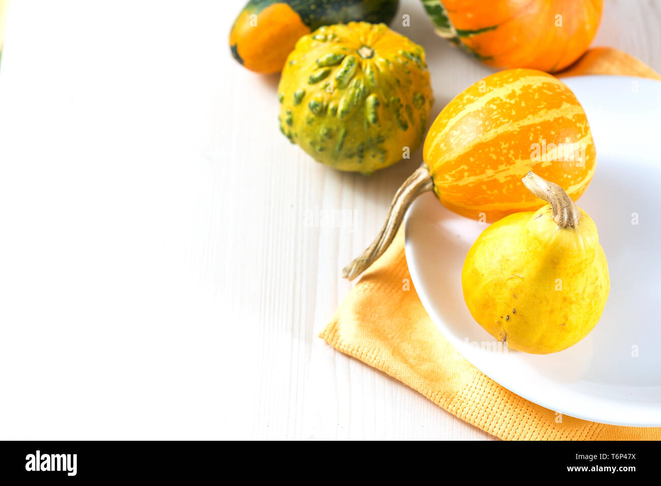 Decorative mini raw pumpkins hi-res stock photography and images - Alamy