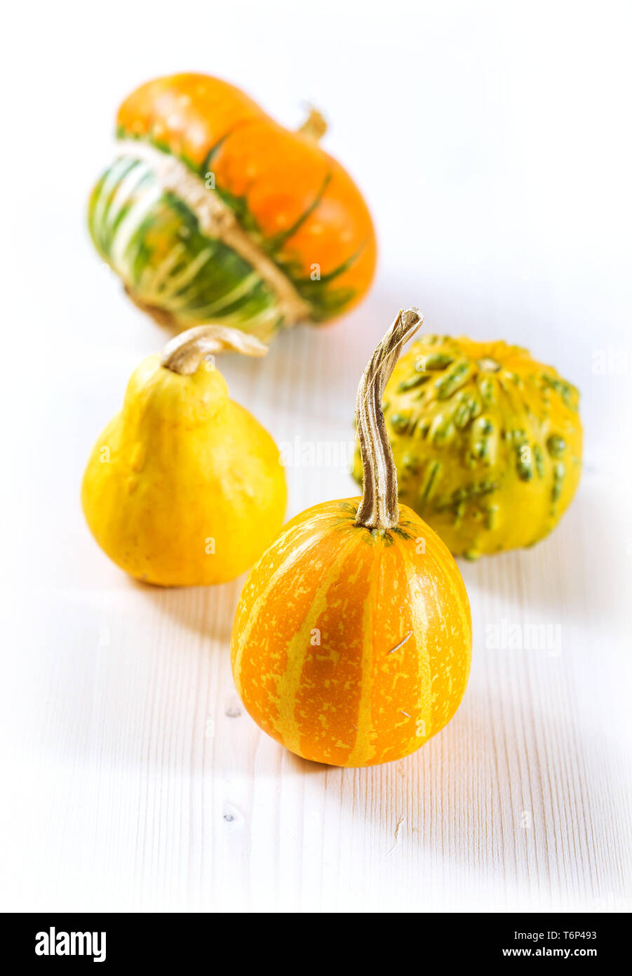 Mini farm Cut Out Stock Images & Pictures - Alamy