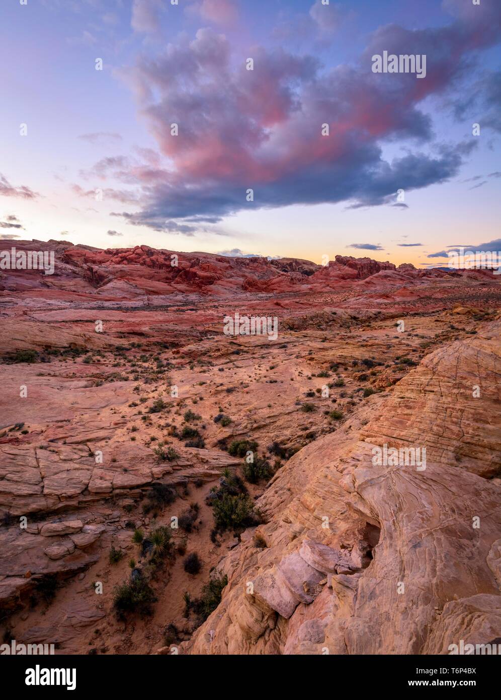 Red clouds after sunset over red sandstone rocks, Valley of Fire State ...