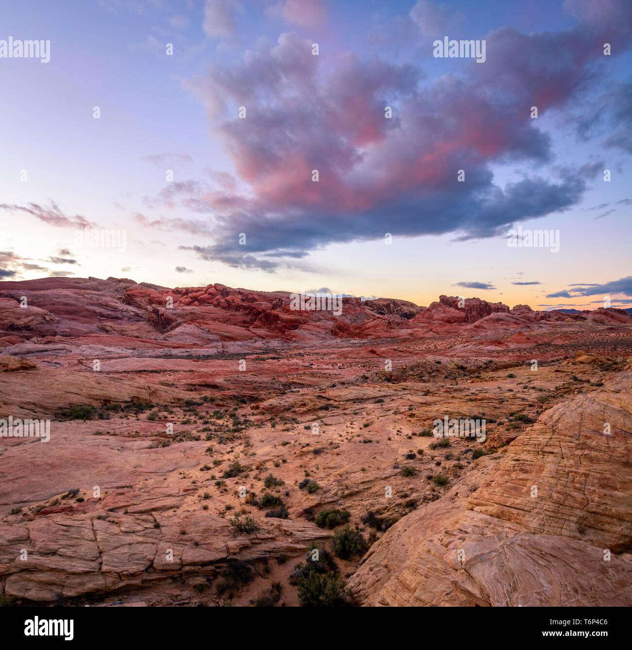 Red clouds after sunset over red sandstone rocks, Valley of Fire State ...