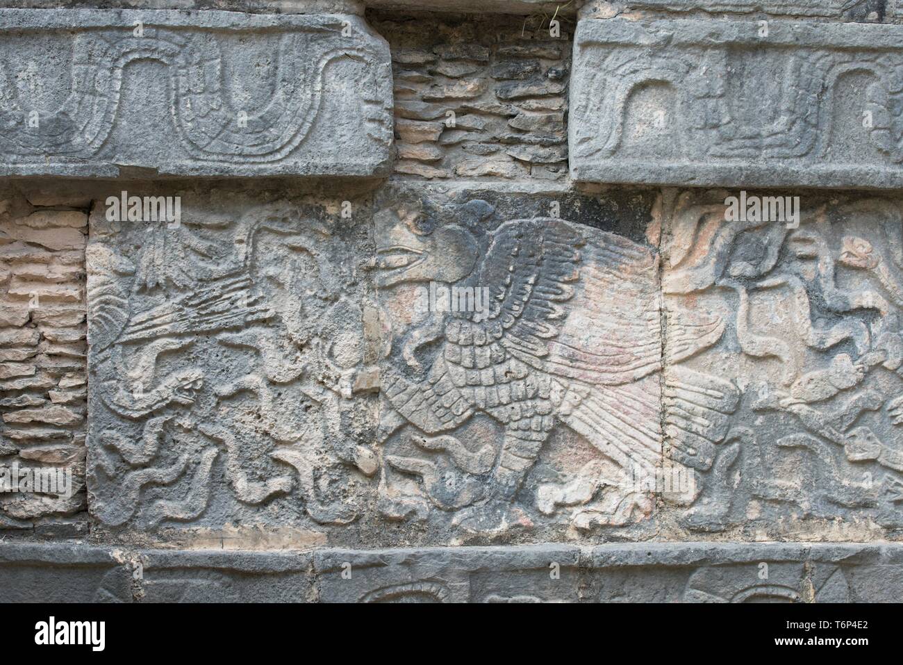 Bas-relief, animal depictions of the Mayas, Chichen Itza, Yucatan ...