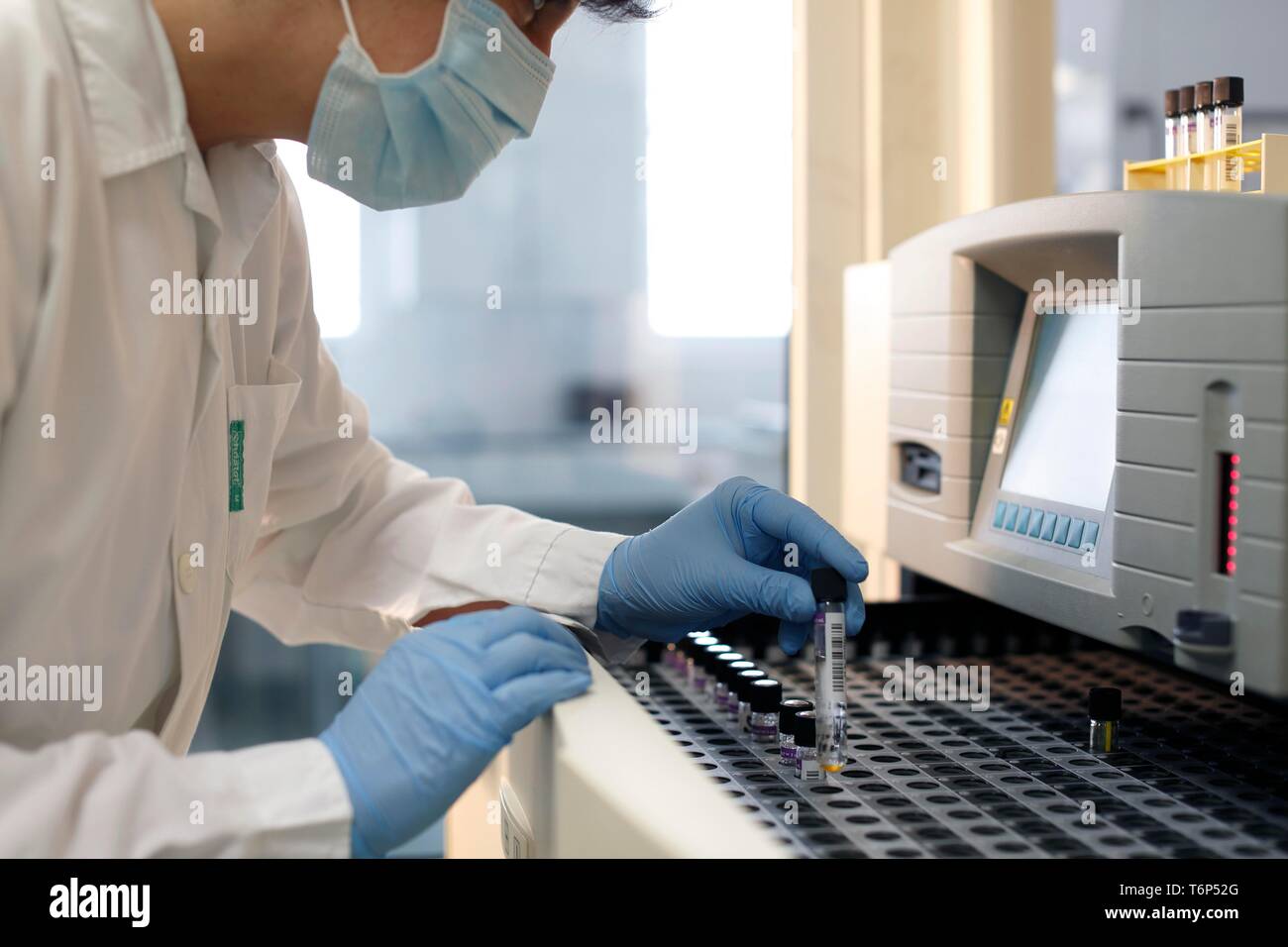 Nurse in laboratory testing for tuberculosis hi-res stock photography ...