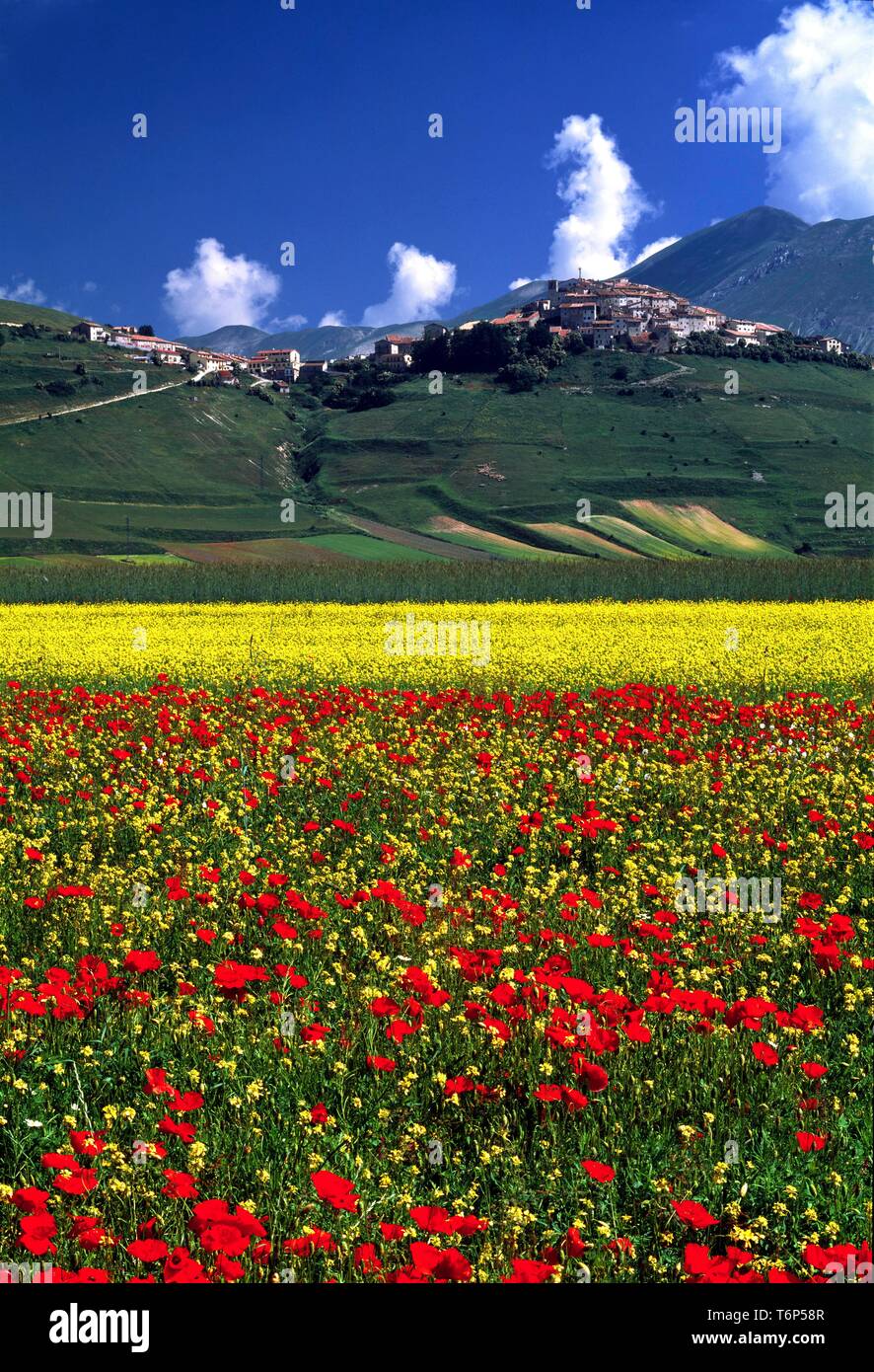 Castelluccio in the early summer in piano grande hi-res stock ...