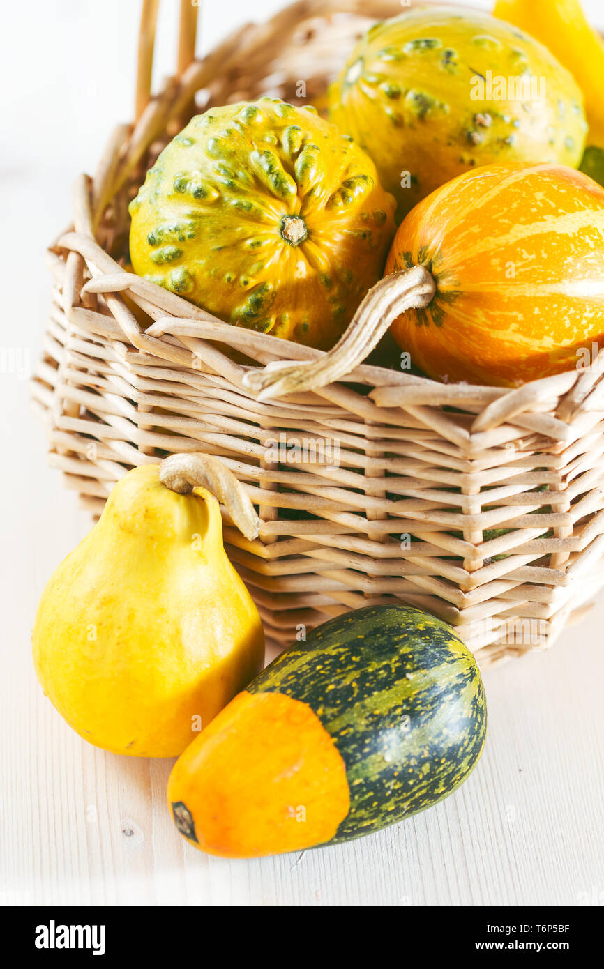 Mini garden farm hi-res stock photography and images - Alamy