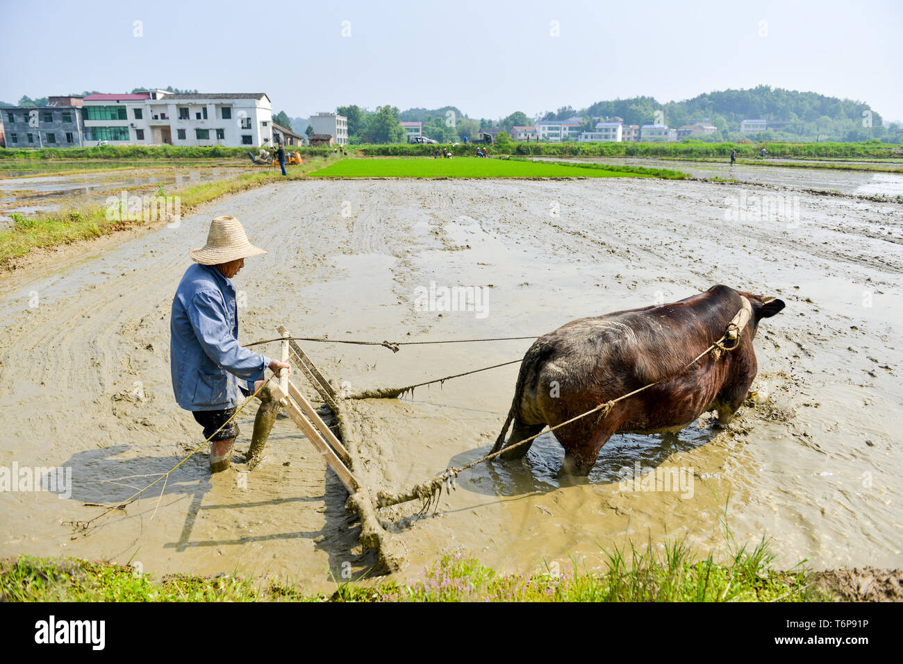 Xintang township hi-res stock photography and images - Alamy