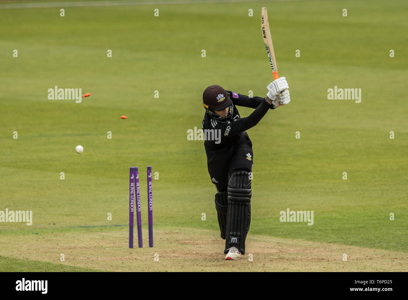 The kia oval conor mckerr hi-res stock photography and images - Alamy