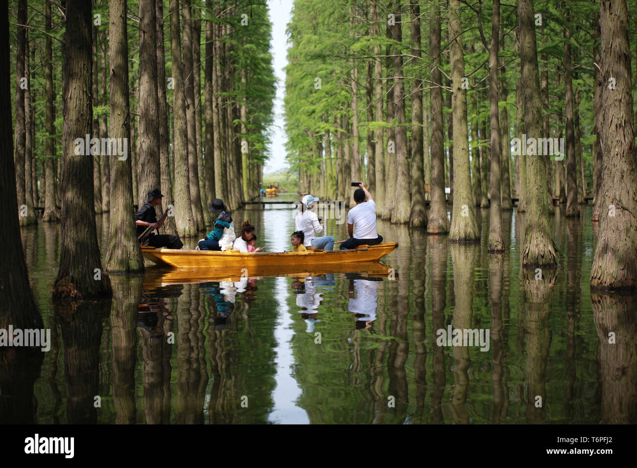 Yangzhou luyang lake wetland park hi-res stock photography and images ...