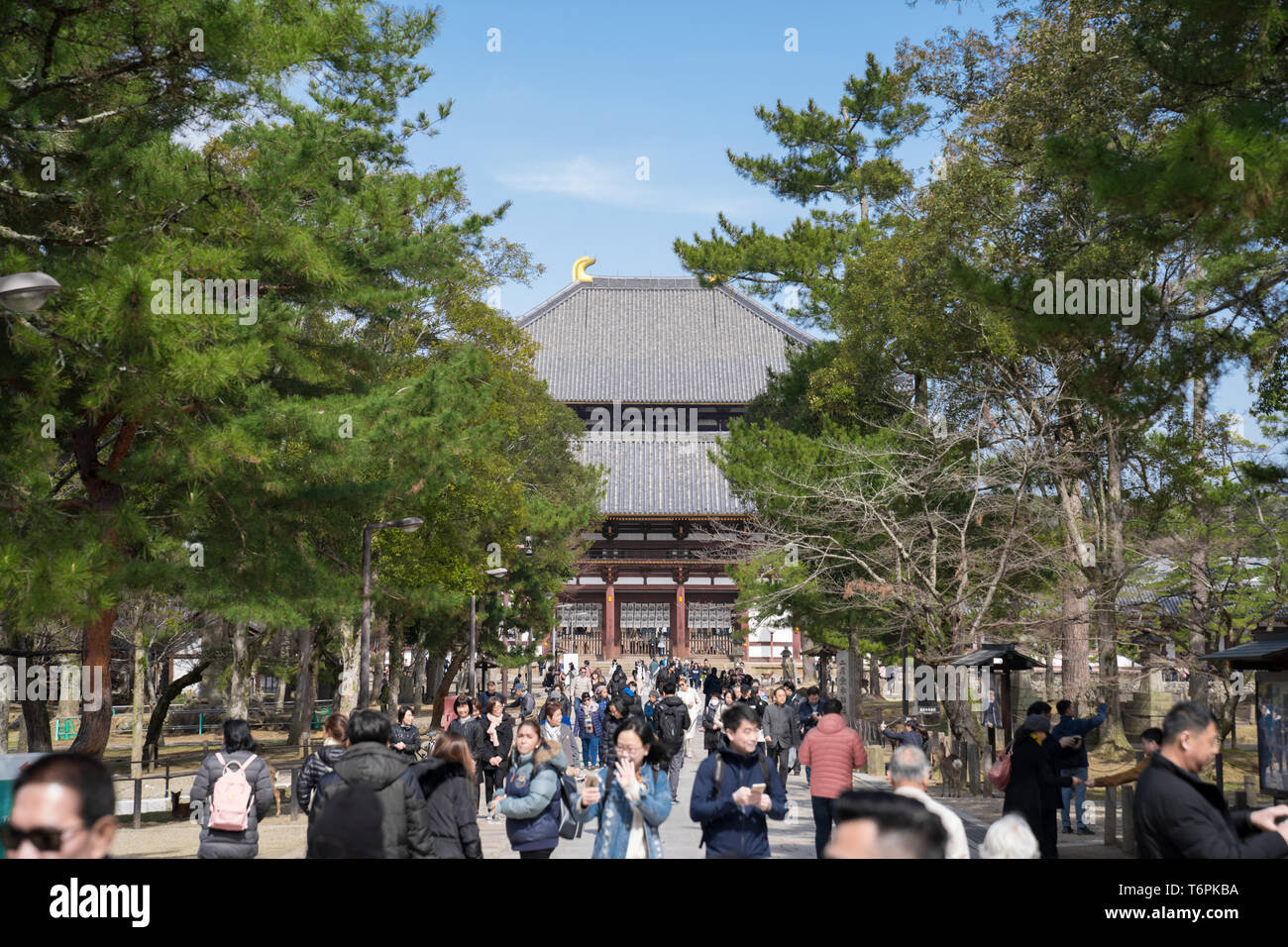 Nara Prefecture, Japan - 2 Mar 2018: People (traveler, group tour ...