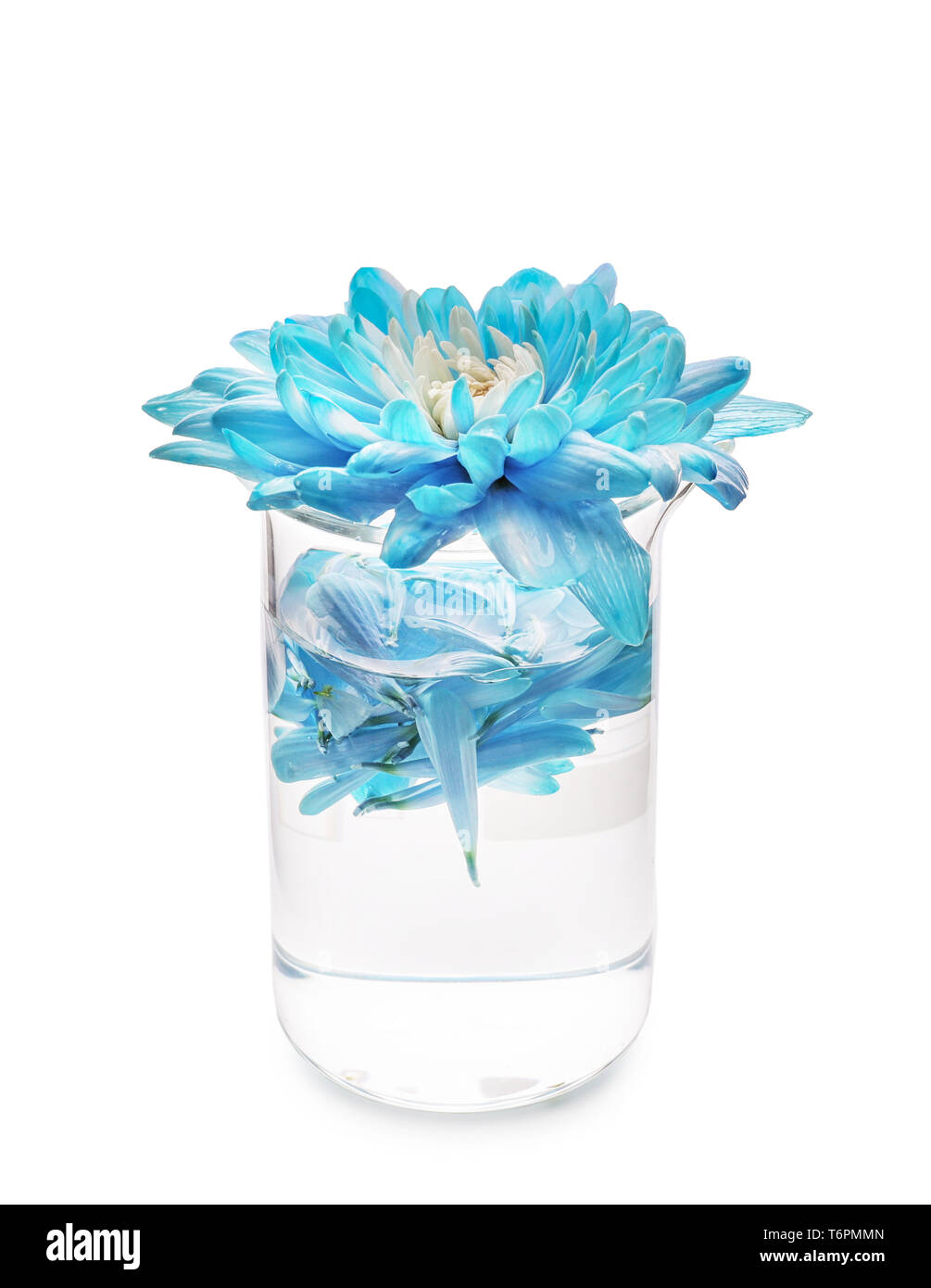 Flask with flowers on white background Stock Photo - Alamy