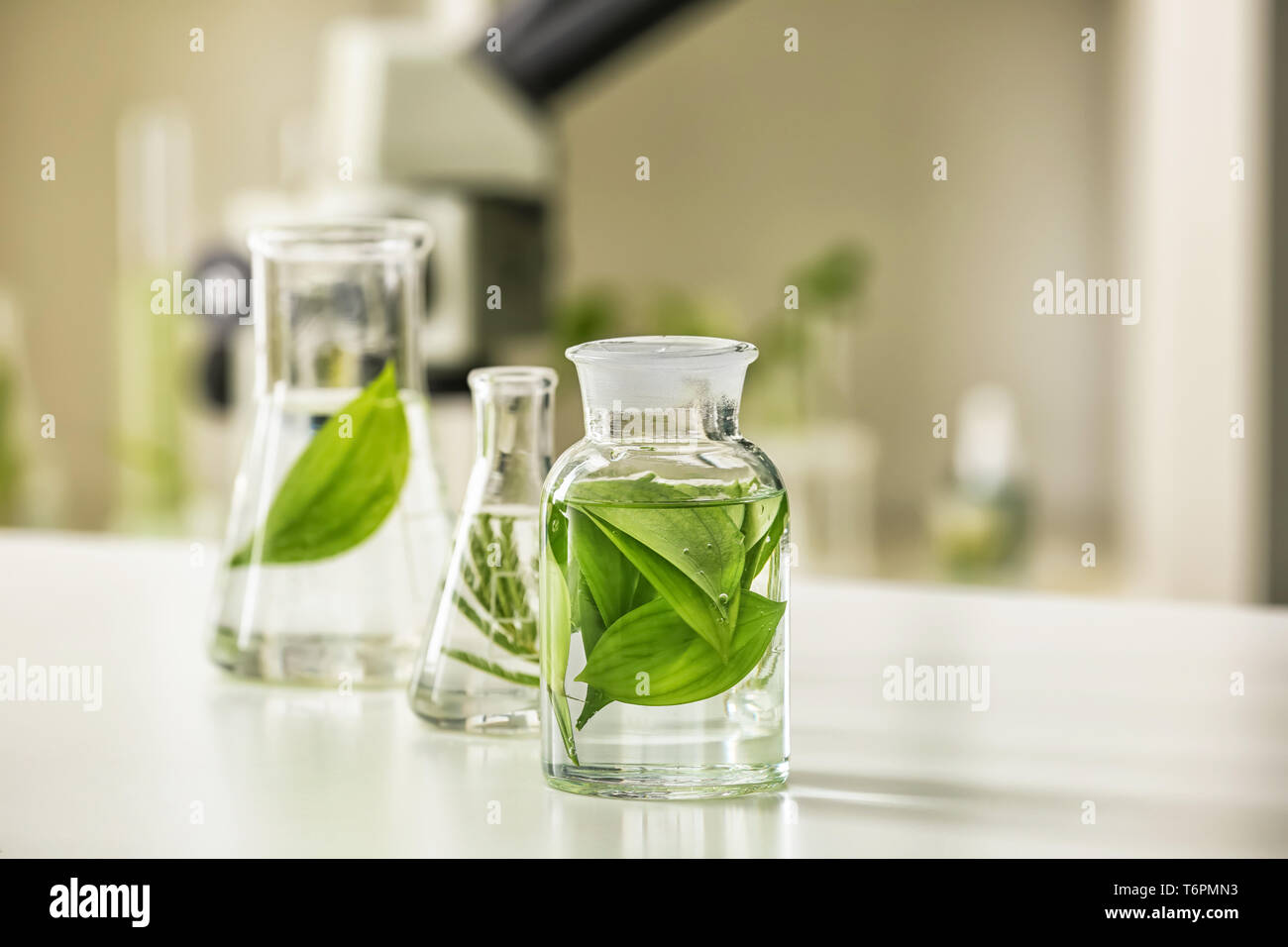 Laboratory conical flasks hi-res stock photography and images - Alamy Laboratory conical flasks hi-res stock photography and images - Alamy