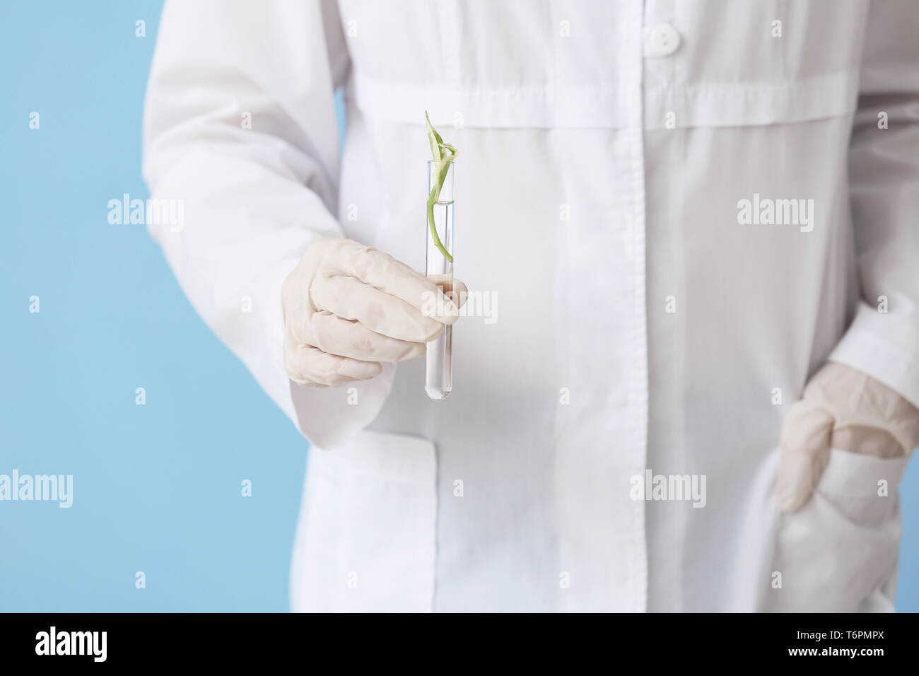 Scientist with test tube holding plant hi-res stock photography and ...