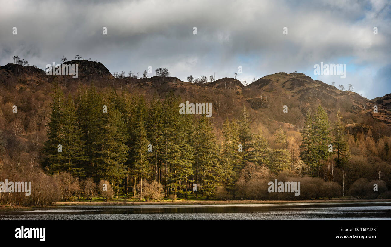 Beautiful sunrise landscape image of Yew Tree Tarn in Lake District ...