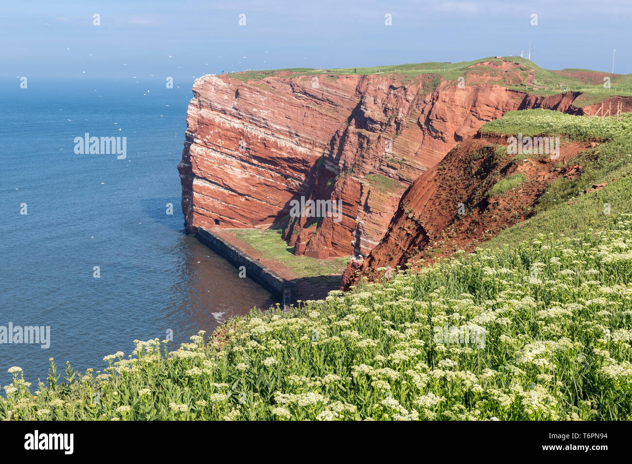 Red cliffs at German island Helgoland Stock Photo - Alamy