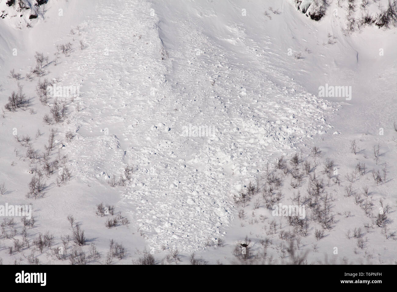 Trace, blocks from a small avalanche on a hillside. Snow sliding ...