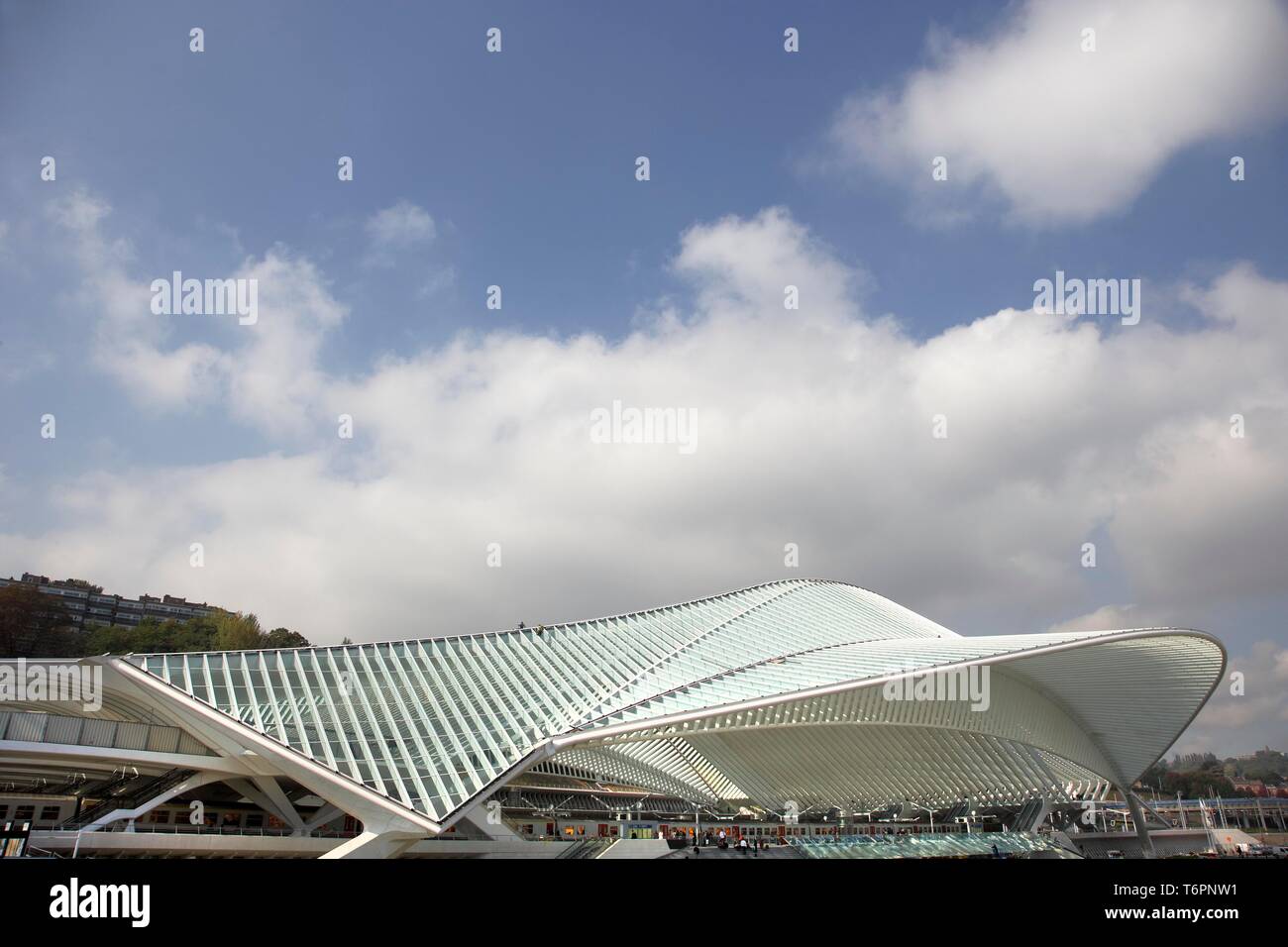 Gare de Liege-Guillemins train station by architect Santiago Calatrava ...
