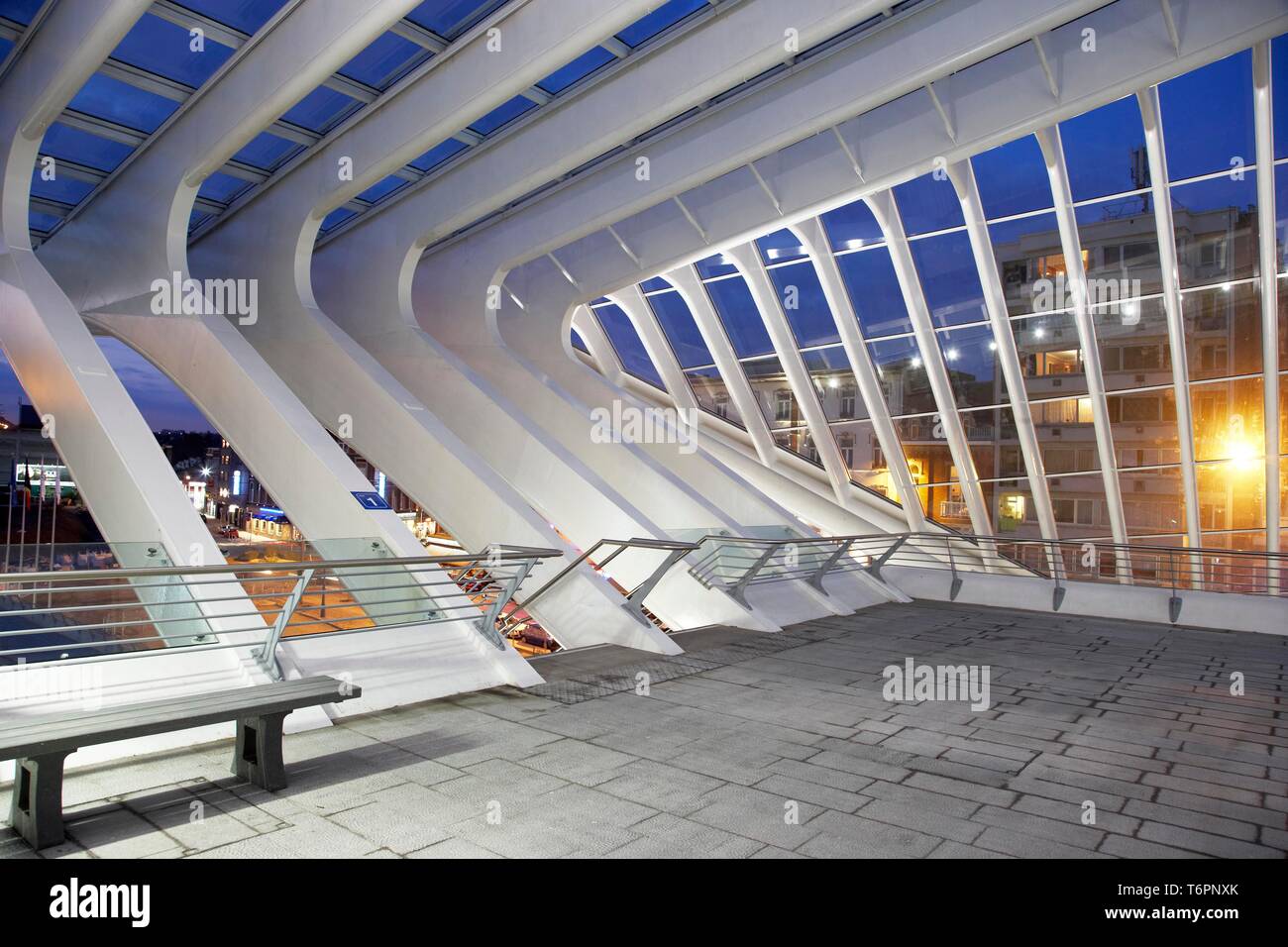 Gare de Liege-Guillemins train station by architect Santiago Calatrava ...