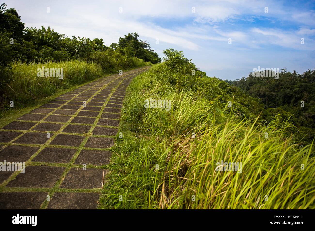 Campuhan Ridge hiking trail in Ubud, Bali, Indonesia Stock Photo - Alamy
