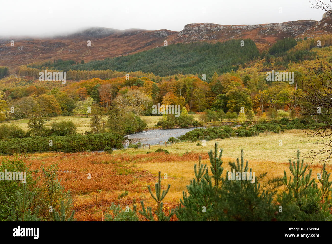 Autumn colours in the Scottish countryside, UK Stock Photo - Alamy