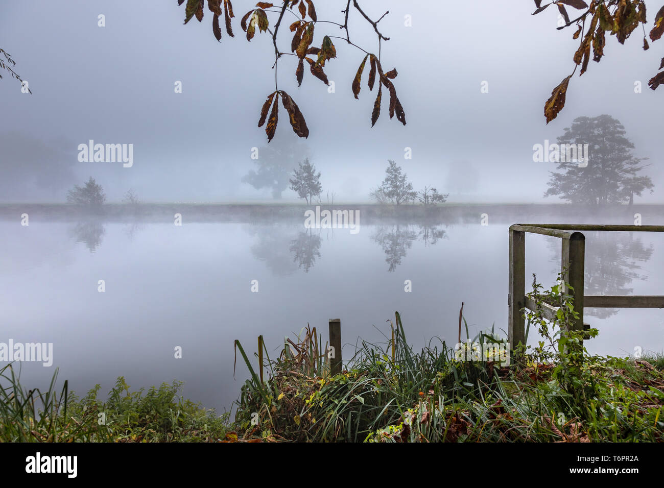 River Thames, Cholsey, South Oxfordshire, England, UK Stock Photo - Alamy