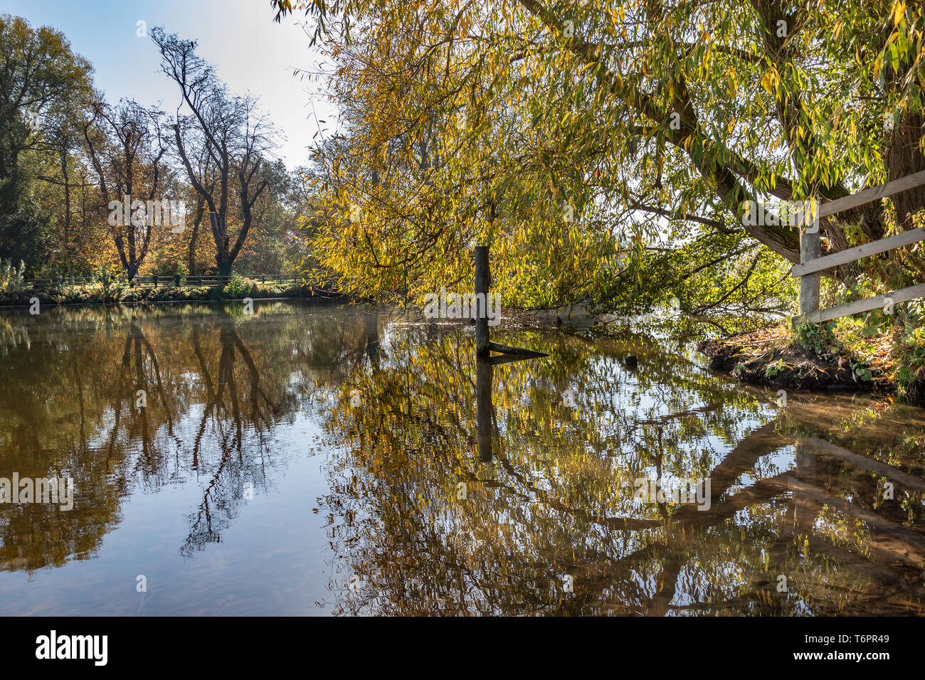River Thames, Cholsey, South Oxfordshire, England, UK Stock Photo - Alamy