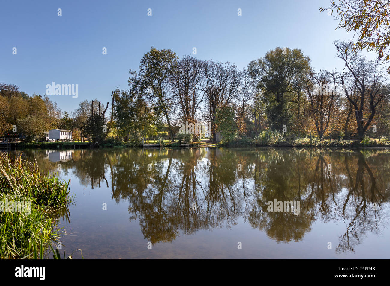 River Thames, Cholsey, South Oxfordshire, England, UK Stock Photo - Alamy
