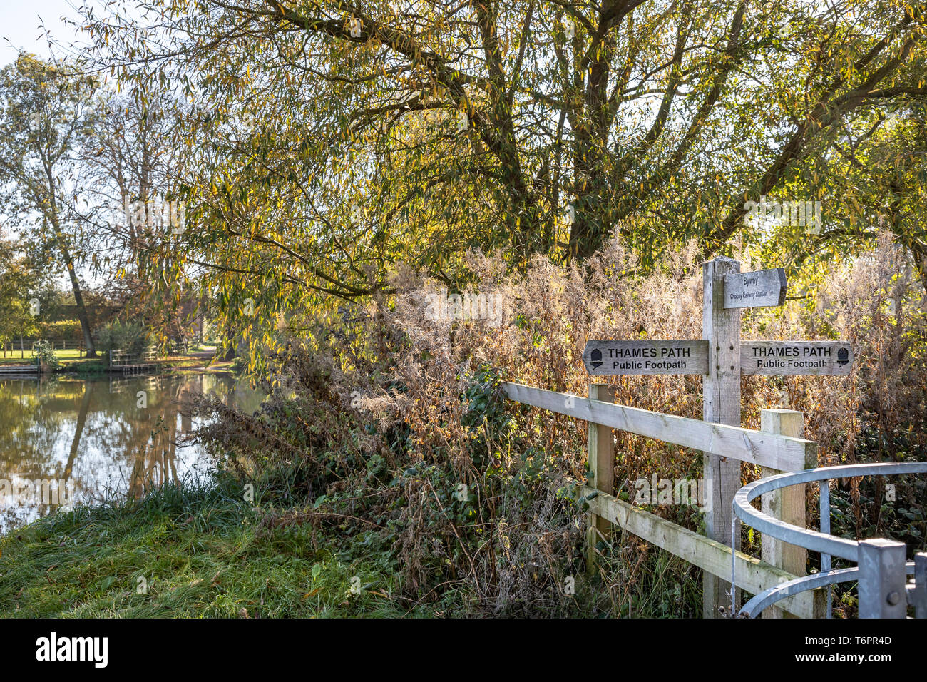 River Thames, Cholsey, South Oxfordshire, England, UK Stock Photo - Alamy