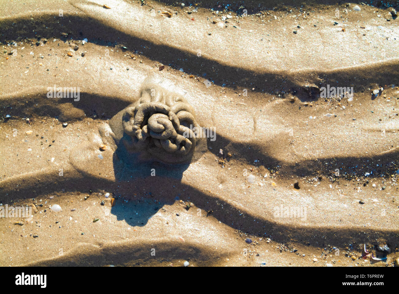 Geometric tangle on the dry beach sand Stock Photo - Alamy