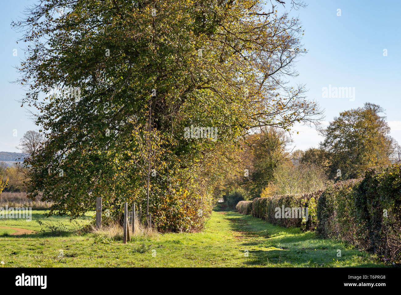 Village of cholsey hi-res stock photography and images - Alamy