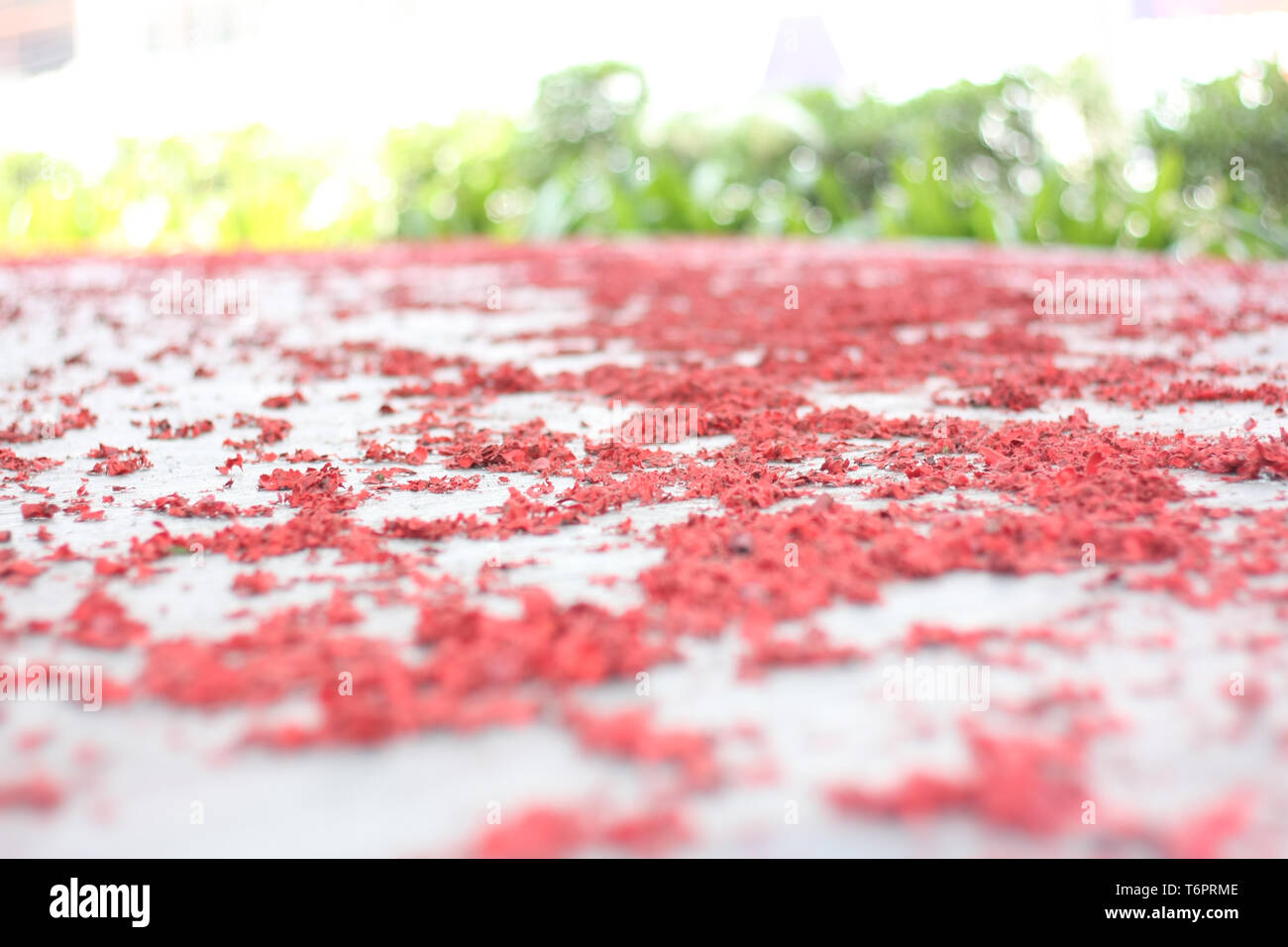 China red cracker are fired and explored continues on the floor in ...