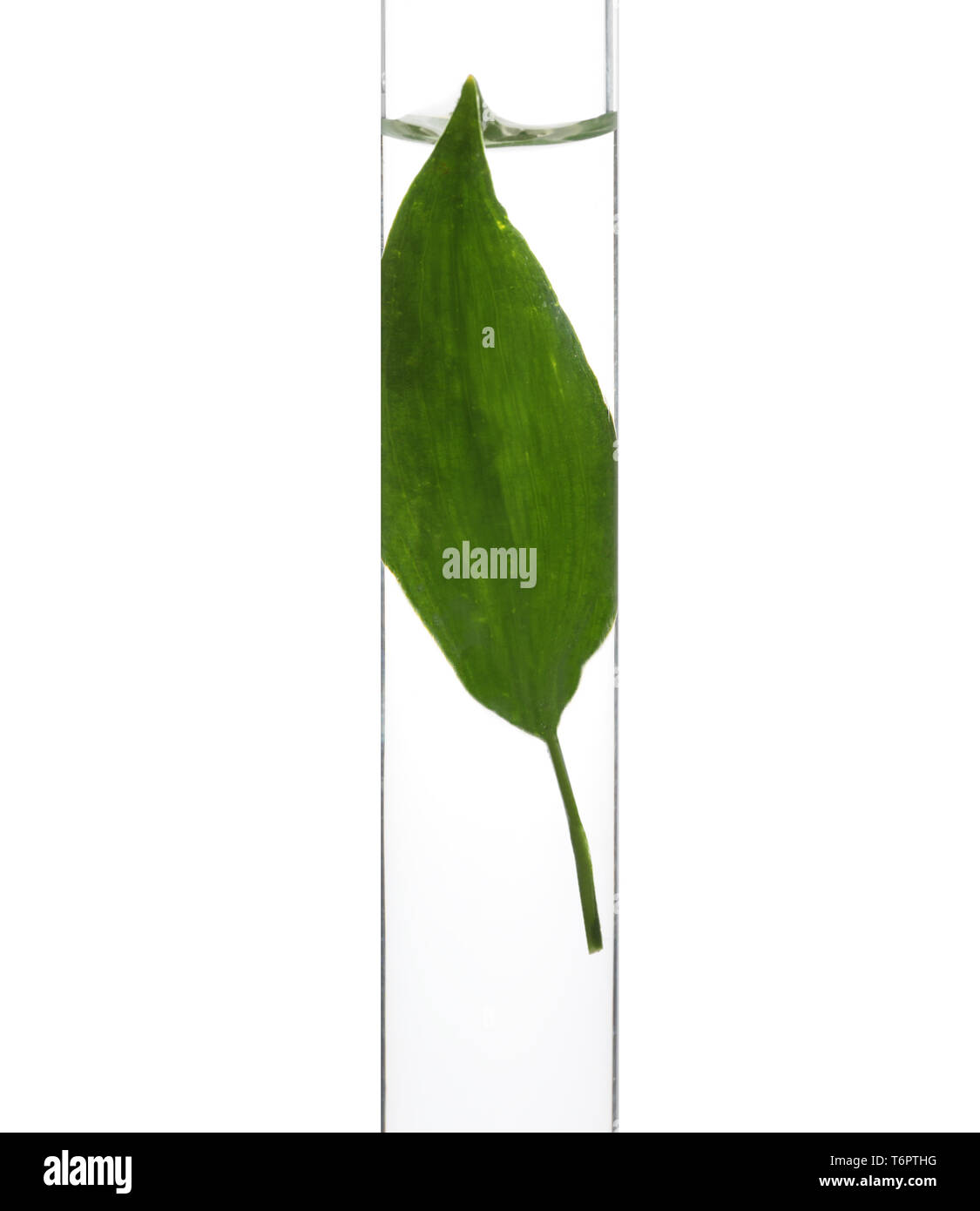 Agronomy lab Cut Out Stock Images & Pictures - Alamy