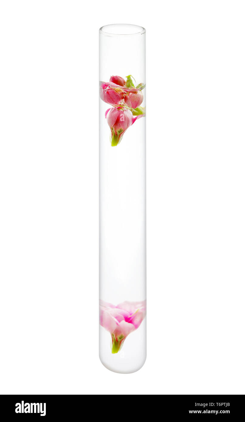 Genetic test gene analysis Cut Out Stock Images & Pictures - Alamy